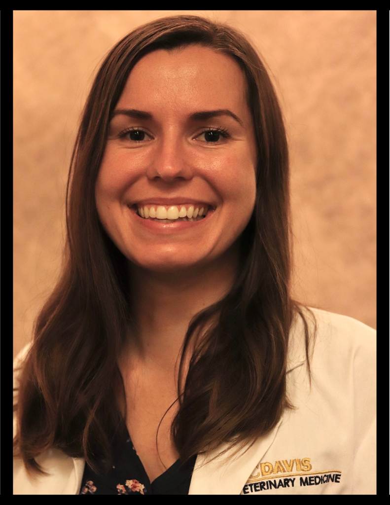 The Heart of ARIEL Scholarship Program | ARIEL Theatrical